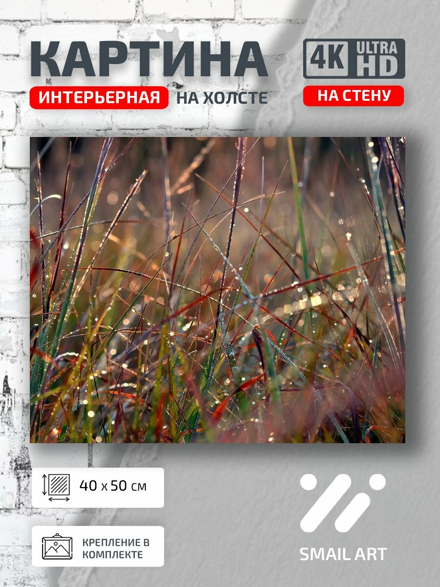 Картина на холсте интерьерная 40 на 50 на стену Роса Landscape для кафе пейзаж интерьер