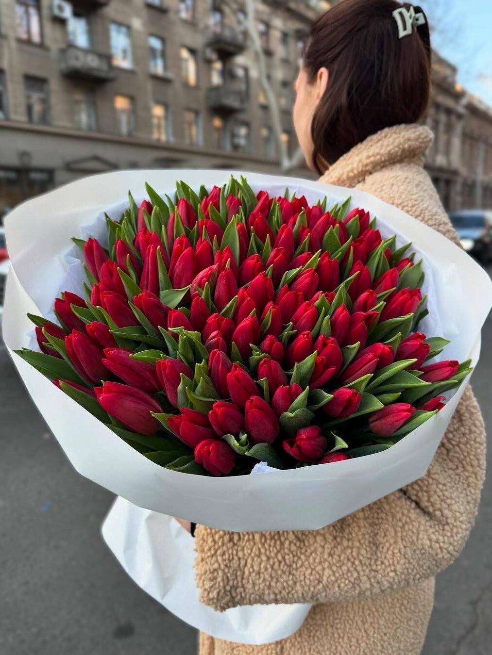 Красные тюльпаны