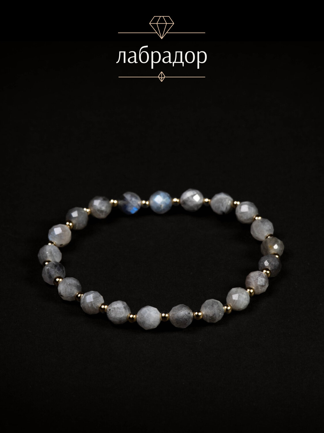 Эластичный браслет, лабрадор