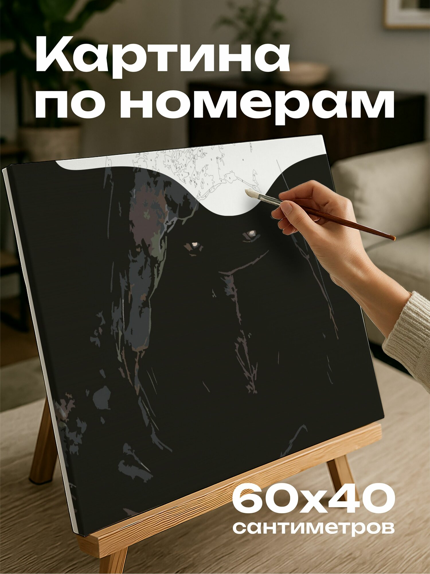 Картина по номерам 60x40 см, картина, перо, тушь, персонаж, ДНР, тайна, тьма, покров, секретность, лицо, мотивы, союзы