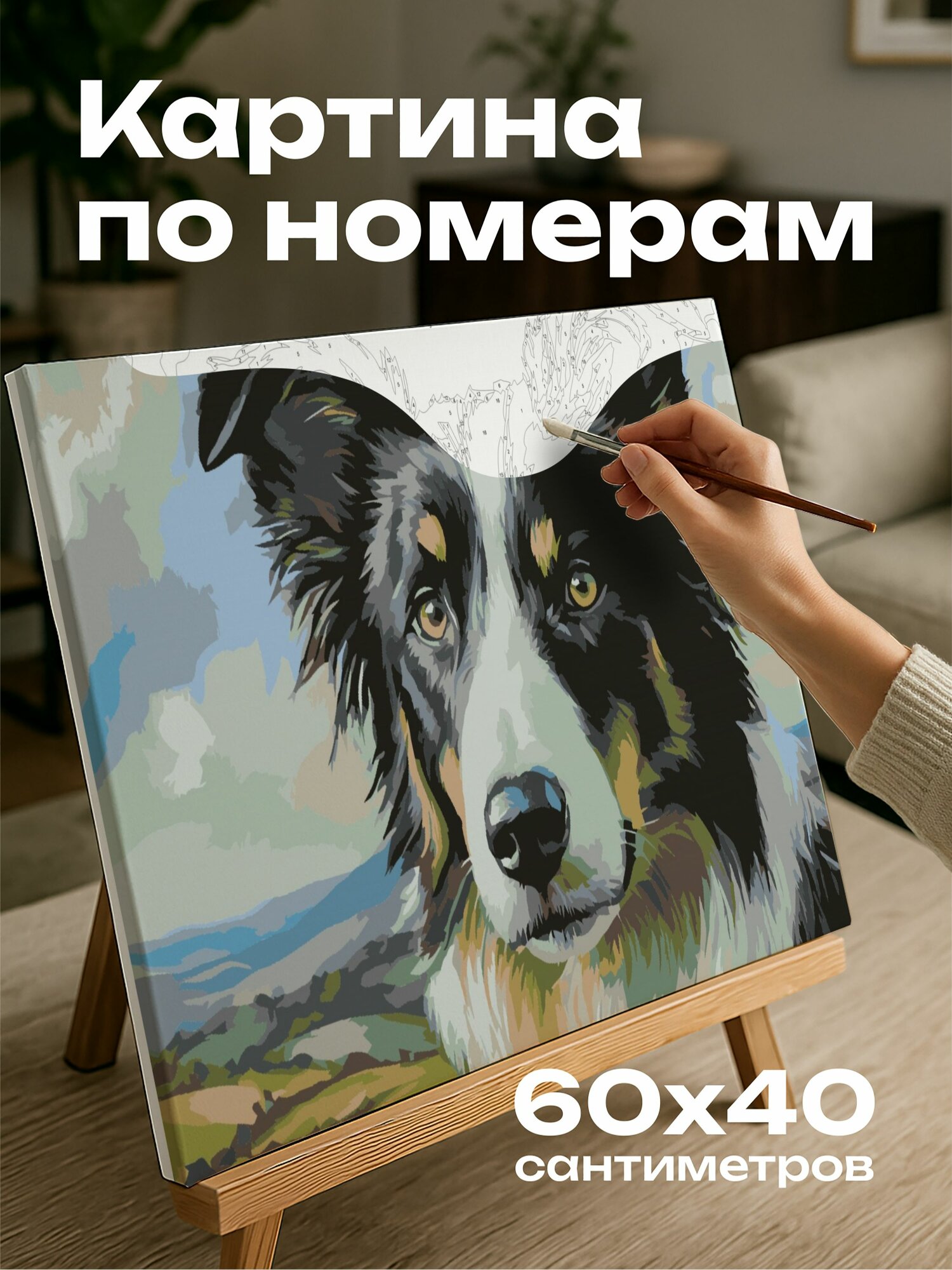 Картина по номерам 60x40 см, картина, масляная, колли, глаза, зеленые холмы, голубое небо, величественный, масштаб 5:3