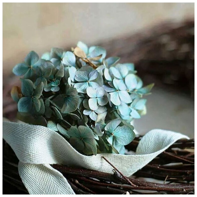 Набор алмазной вышивки "Гортензия", размер 50х50см, 49 цветов