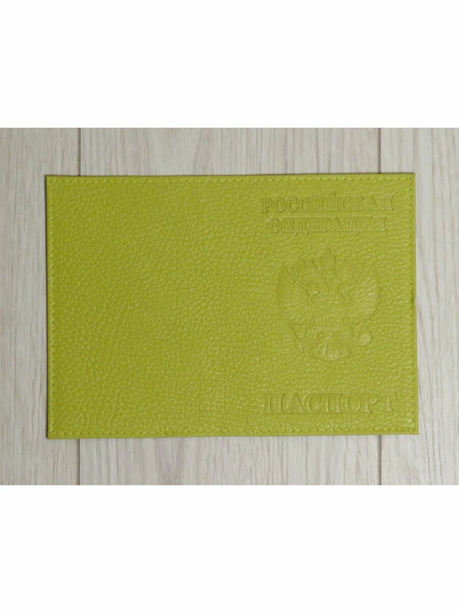 Обложка для паспорта