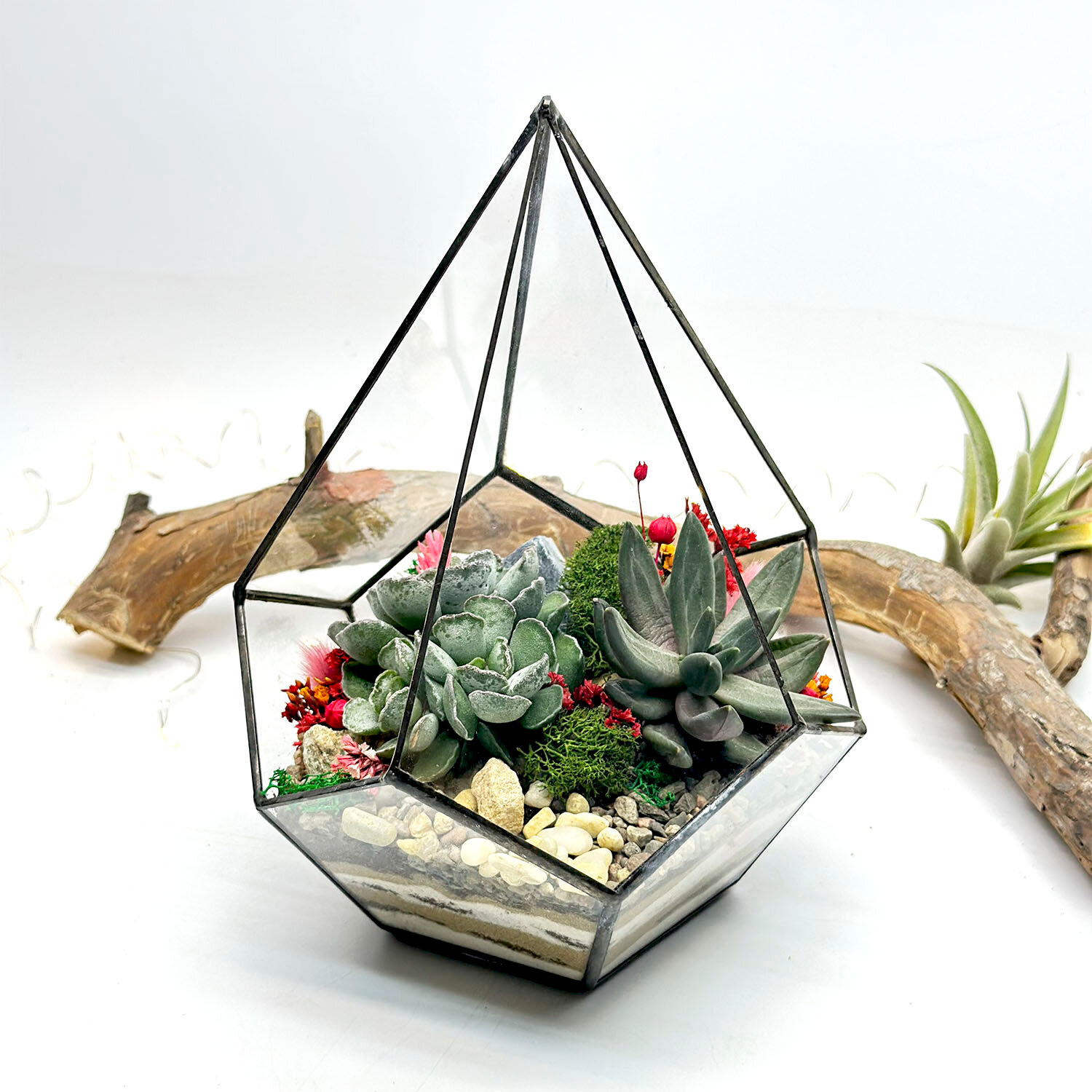 Флорариум с суккулентами "Откровение" Капля 14х20см