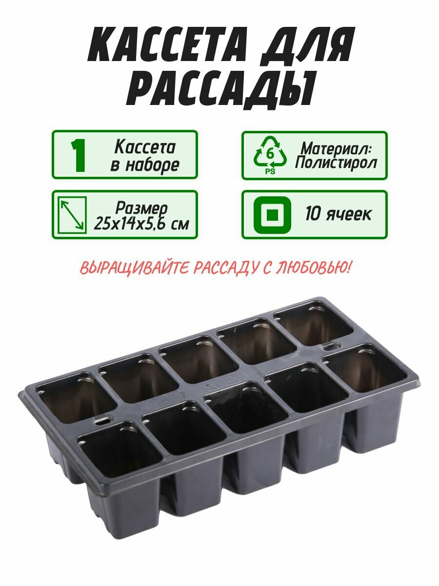 Мини-кассета для рассады, 25х14х5,6 см, 10 ячеек, 1 шт: для выращивания рассады однолетних овощей и цветов с последующей высадкой ее в открытый грунт