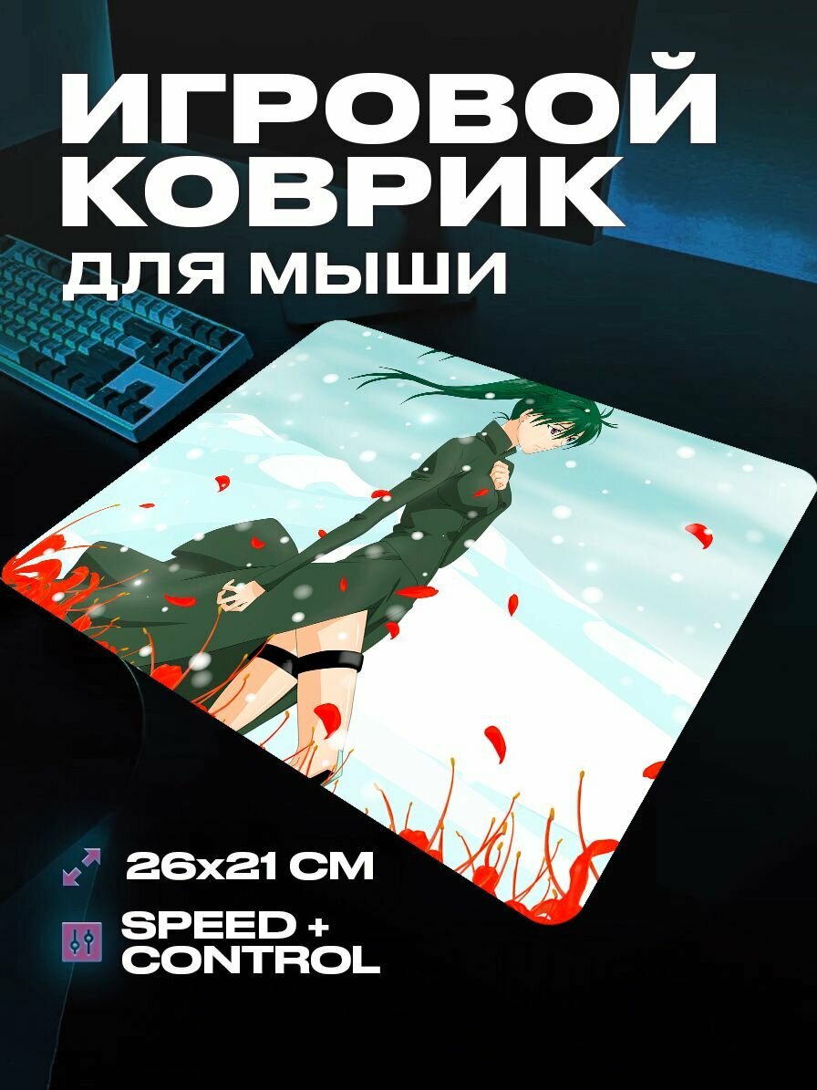 Коврик для мыши игровой D. gray-man 26x21 см ProSleeves