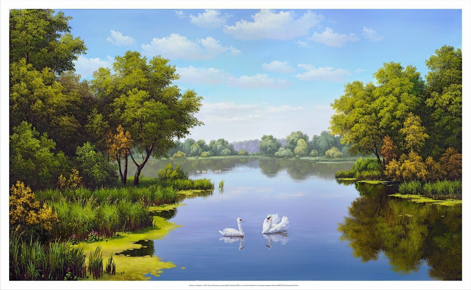 Постер на холсте "Пейзаж с лебедями", 50х70 см, художник - Бабичев А. В. Холст в рулоне, Арт. БВ-р2-50х70