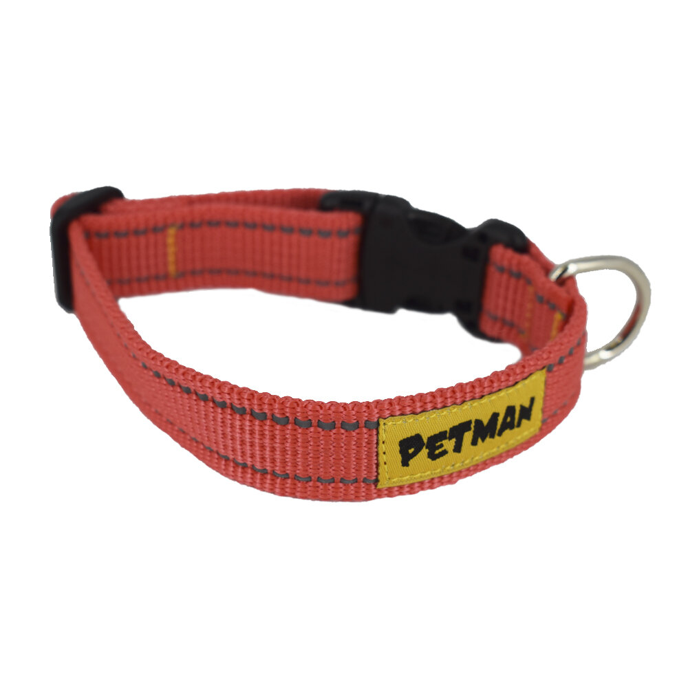 Ошейник регулируемый 20 мм, 27-43см