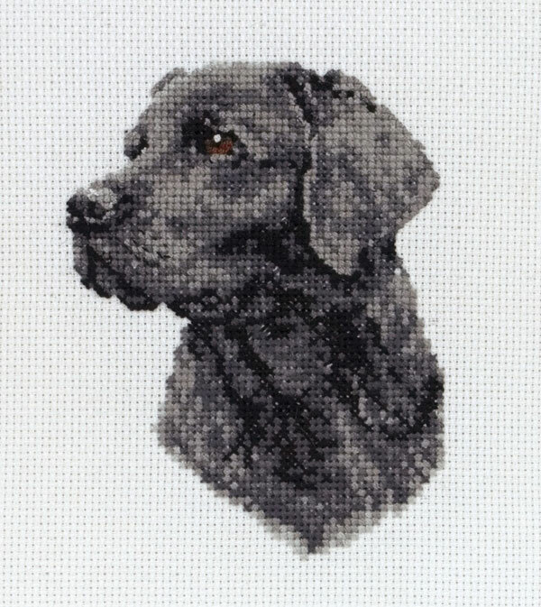Набор для вышивания Anchor Black Labrador 11*8 см MEZ Венгрия PCE218
