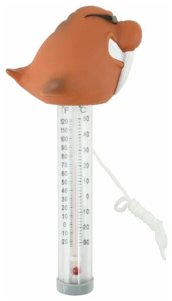 Термометр-игрушка Kokido «Крутяжки» K725DIS/6P (Морж) для бассейна