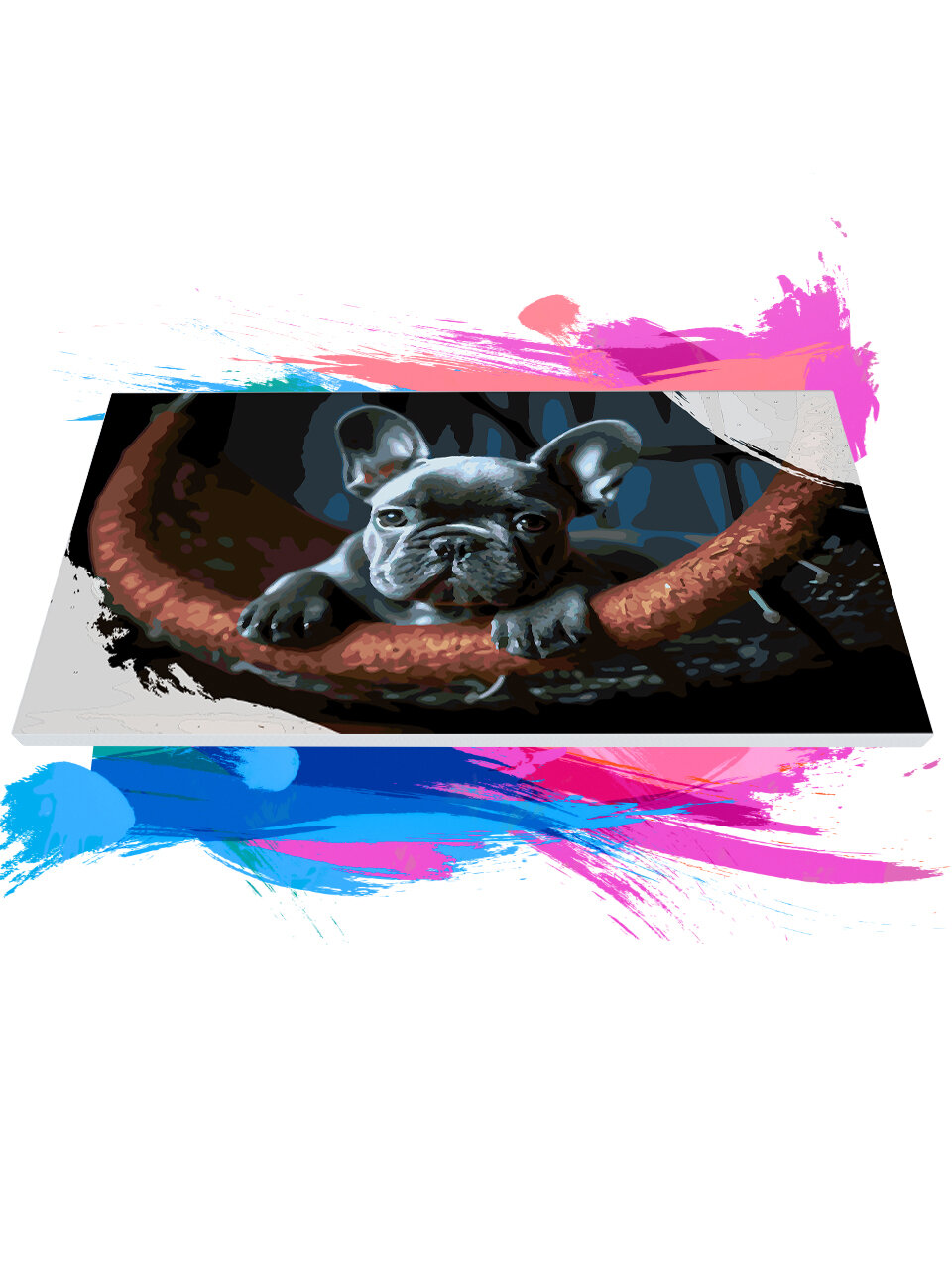 Картина по номерам на холсте Французский бульдог 2, 50 х 70 см