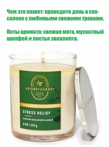 Bath And Body Works ароматическая свеча с 1 фитилем Eucalyptus Spearmint (227грамм)