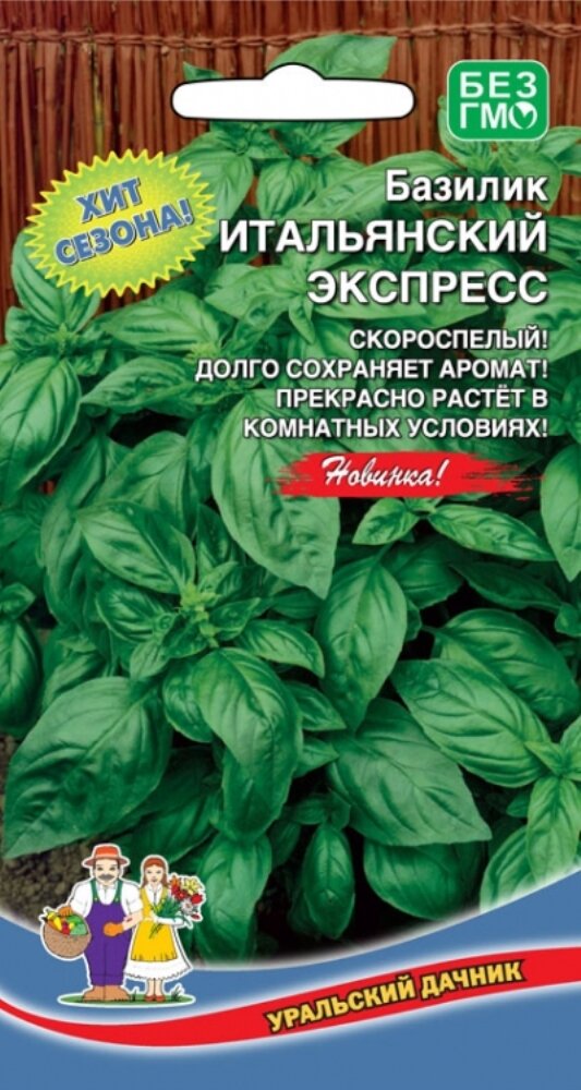 Базилик Итальянский Экспресс 0.25г Ранн (Уральский Дачник)