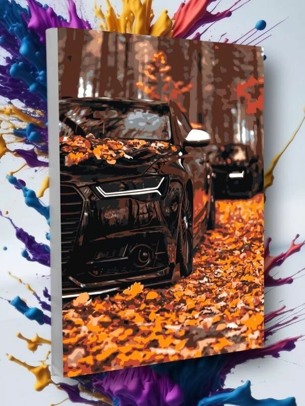 Картина по номерам Авто Автомобиль Ауди Осень Природа40х50