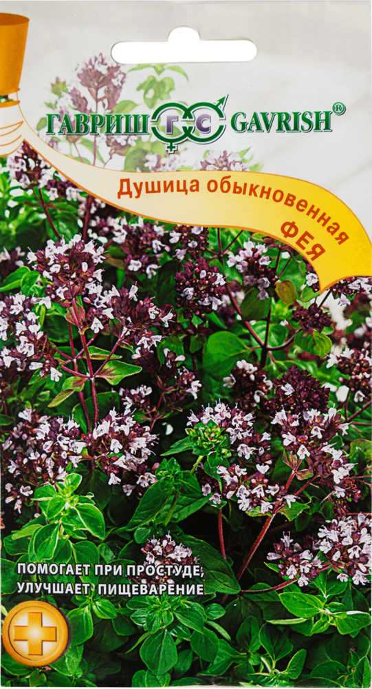 Семена Душица «Фея» (Орегано), 0.1 г, (4 упак.)