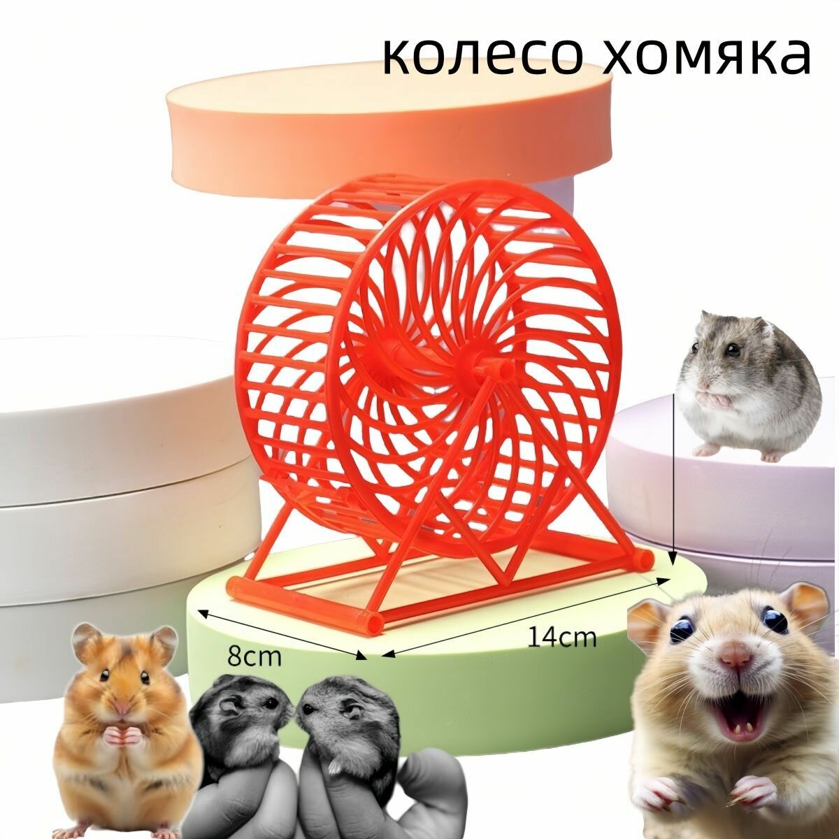 Полностью закрытые игрушки для хомяков, беговая дорожка в клетке для грызунов
