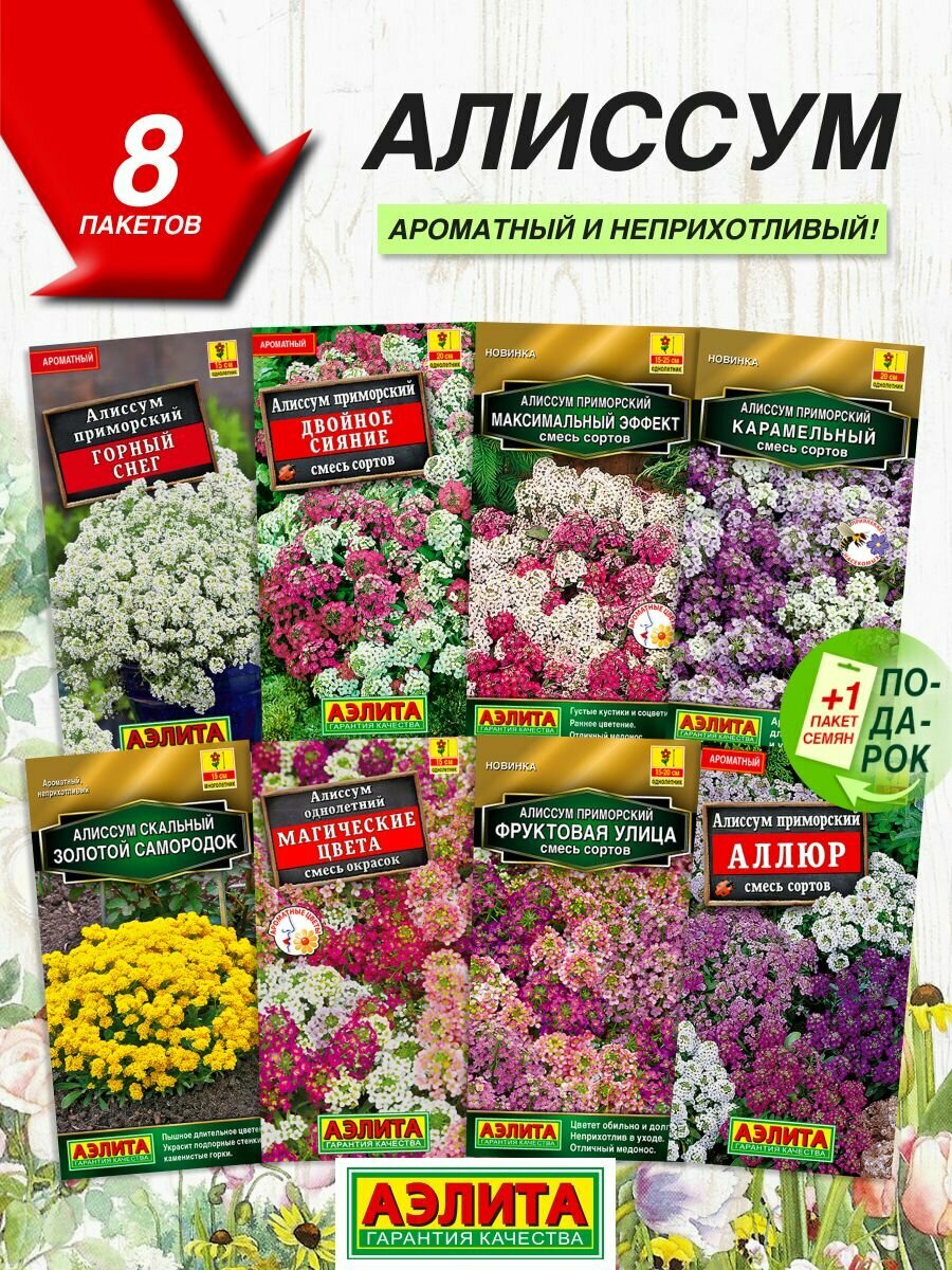 Семена цветов Аэлита Алиссум 8 сортов / Семена Алиссума смесь сортов