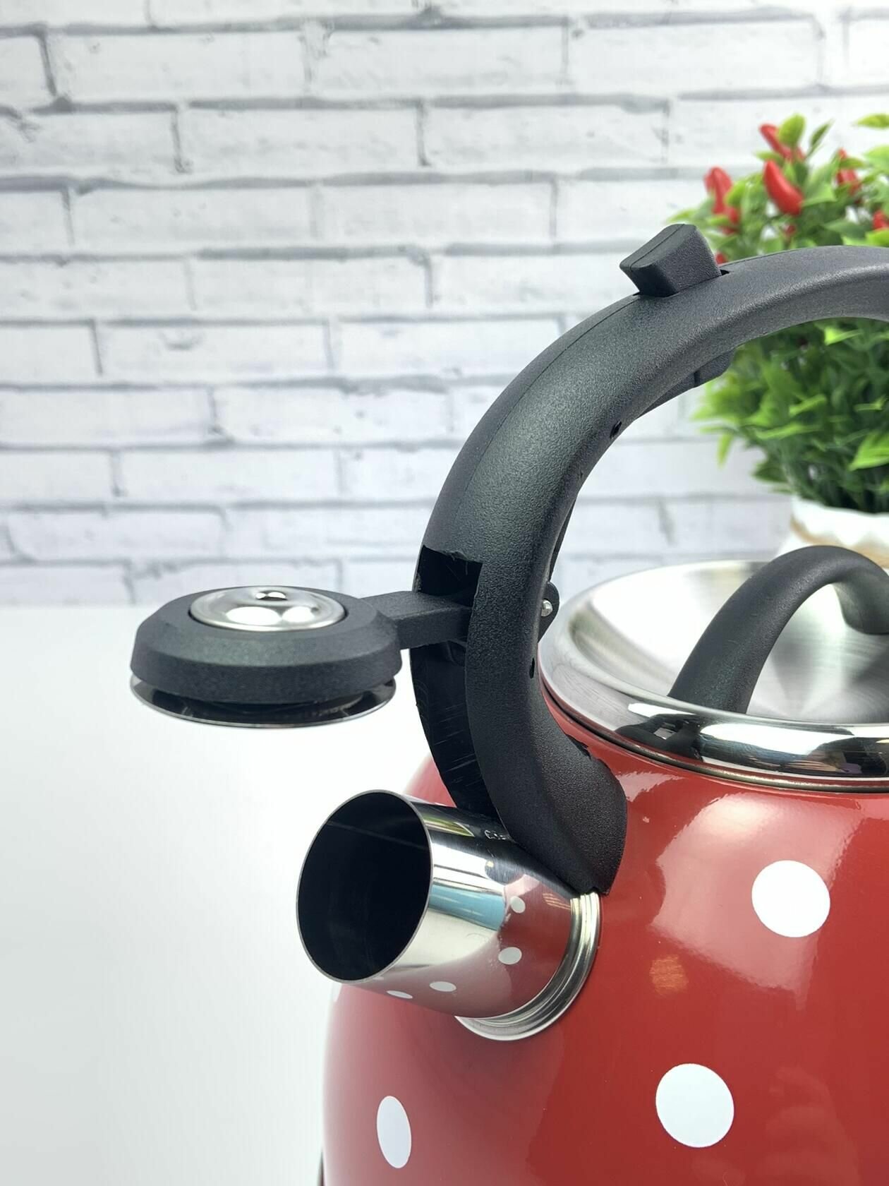 Чайник из нержавеющей стали Mallony Maestria 005176 (красный в белый горошек)