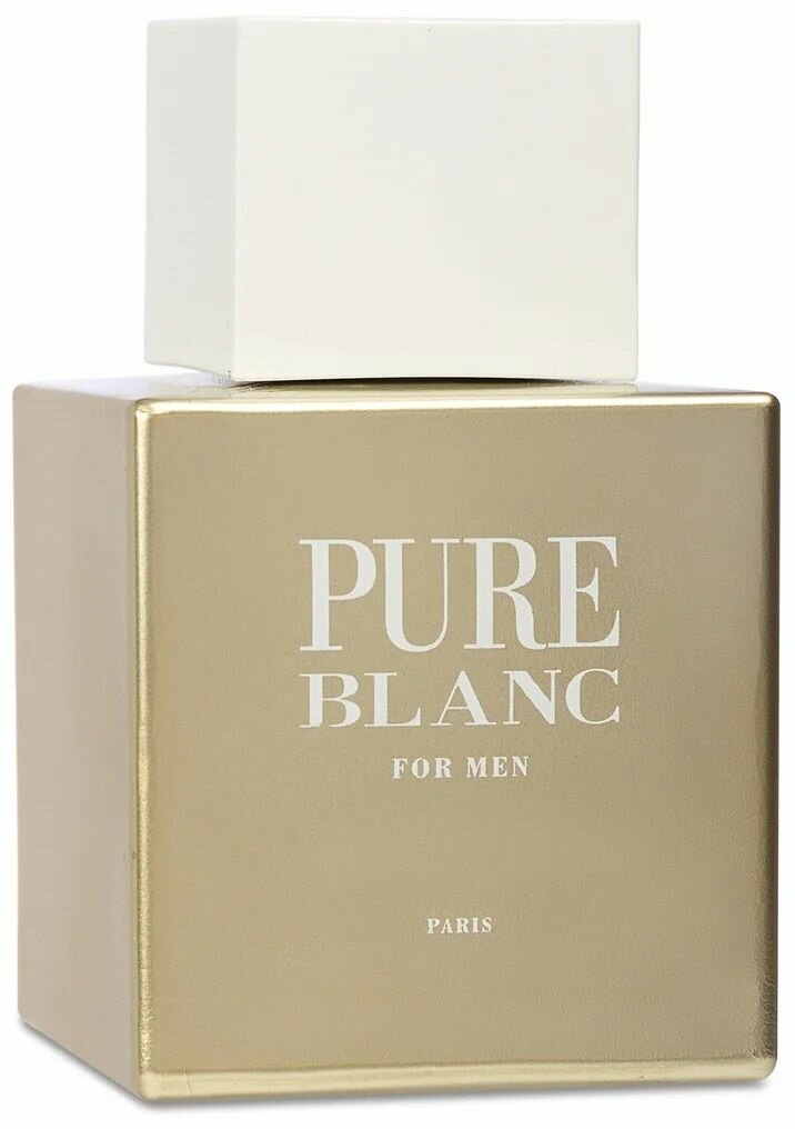 Туалетная вода Geparlys Pure Blanc, древесный аромат, мужская, 100 мл