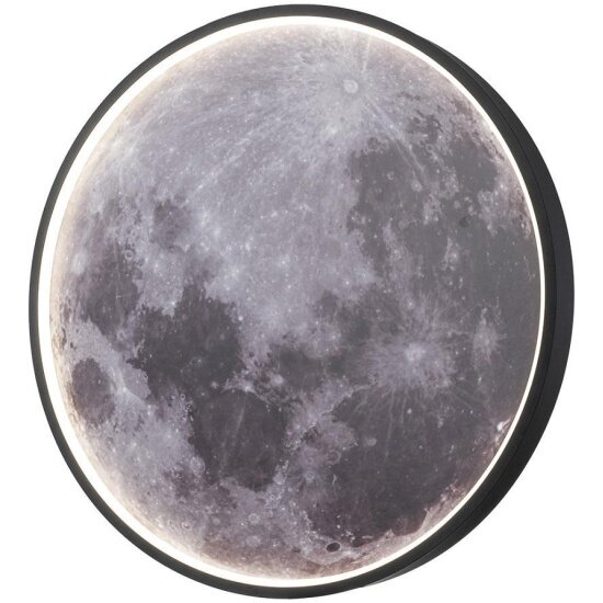 Настенно-потолочный светодиодный светильник Escada Planet 10226/SG LED Mars