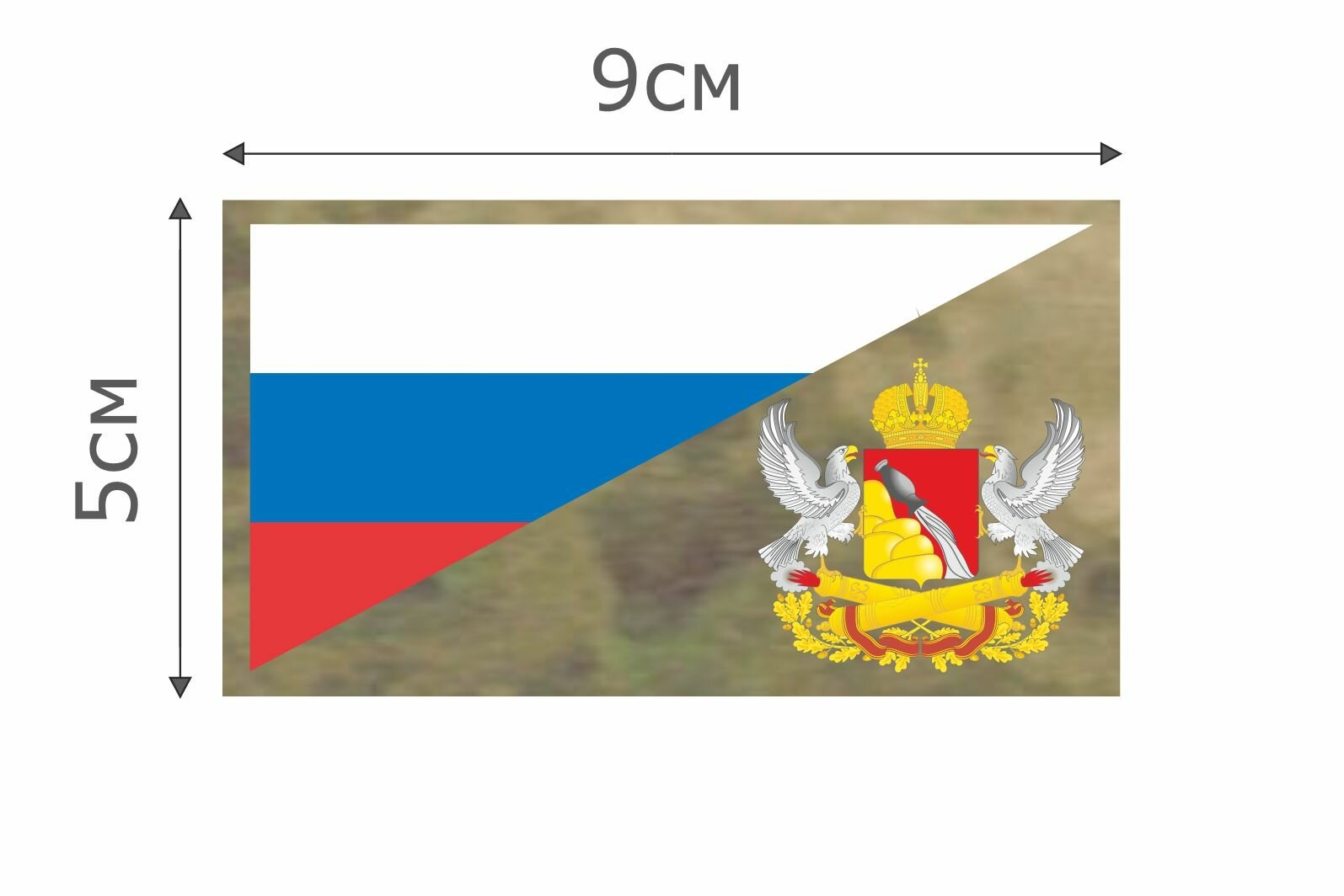 Ф036МОХ Нашивка , патч (шеврон) МОХ Флаг РФ Воронежская область 5*9 см