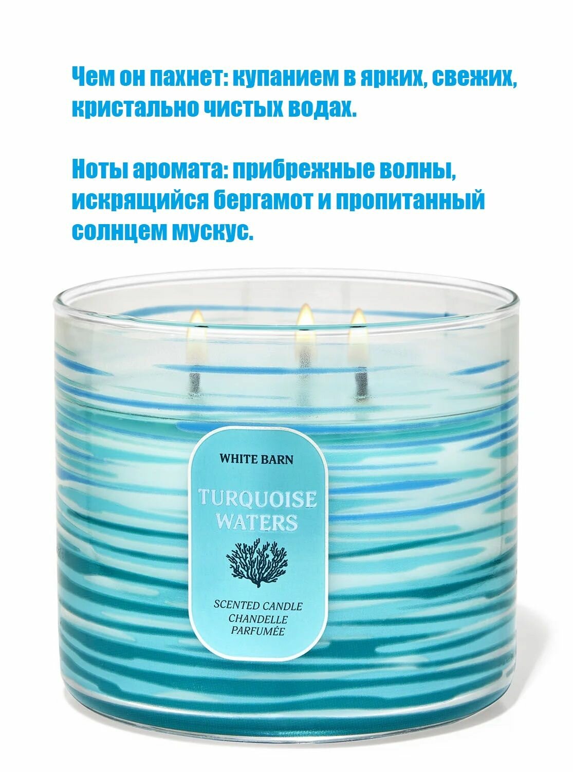Bath and Body Works свеча ароматическая с 3-мя фитилями Turquoise Waters (411 грамм)