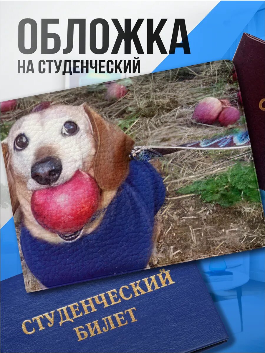 Обложка для студенческого билета