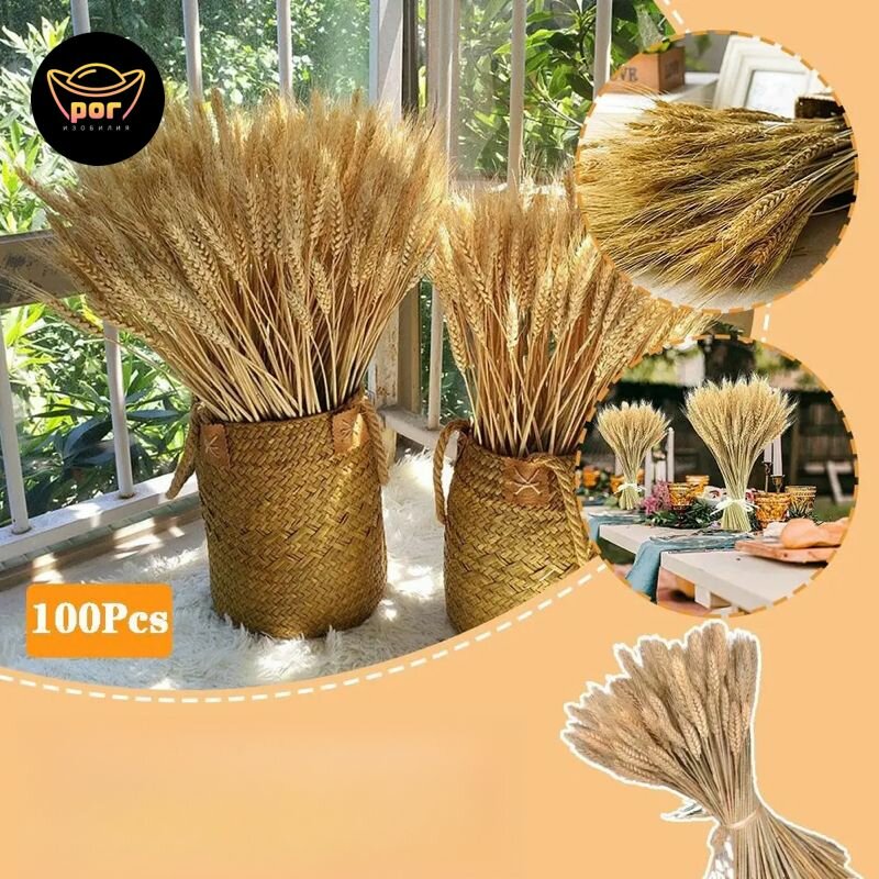 Сухоцветы пшеницы колосья 100шт. пшеница сухоцветы для декора