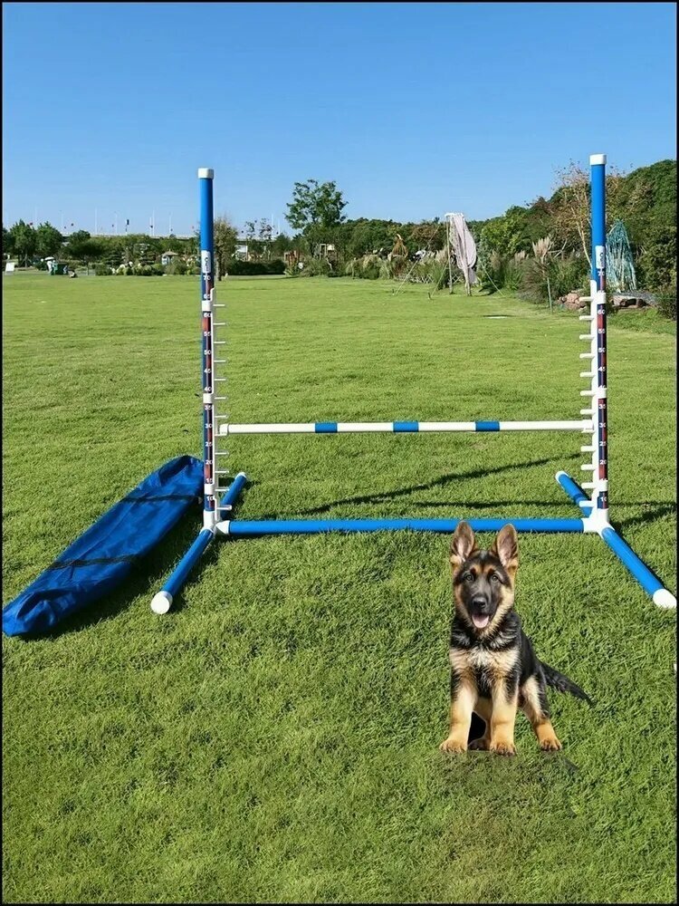 Набор для аджилити для собак, Барьер для аджилити