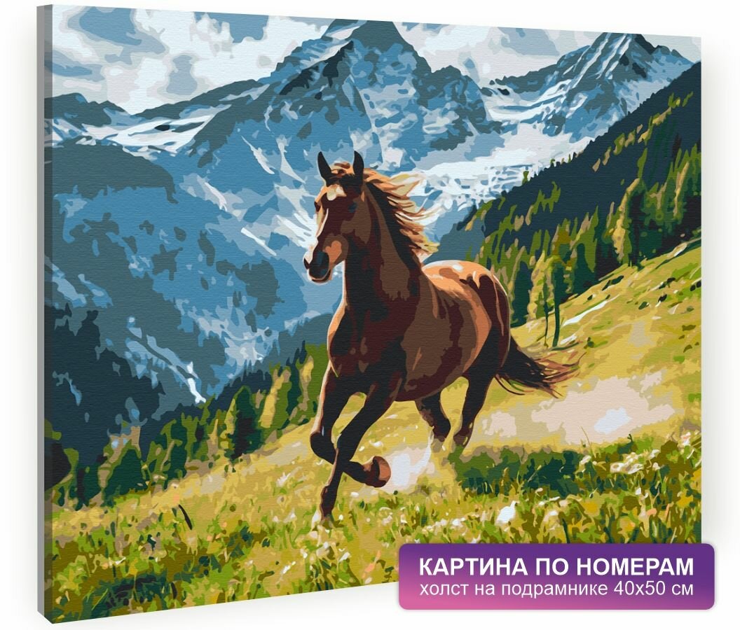 Картина по номерам на холсте с подрамником 40х50 см. Природа, животные, рыбы, птицы. "Лошади", арт. 5054/