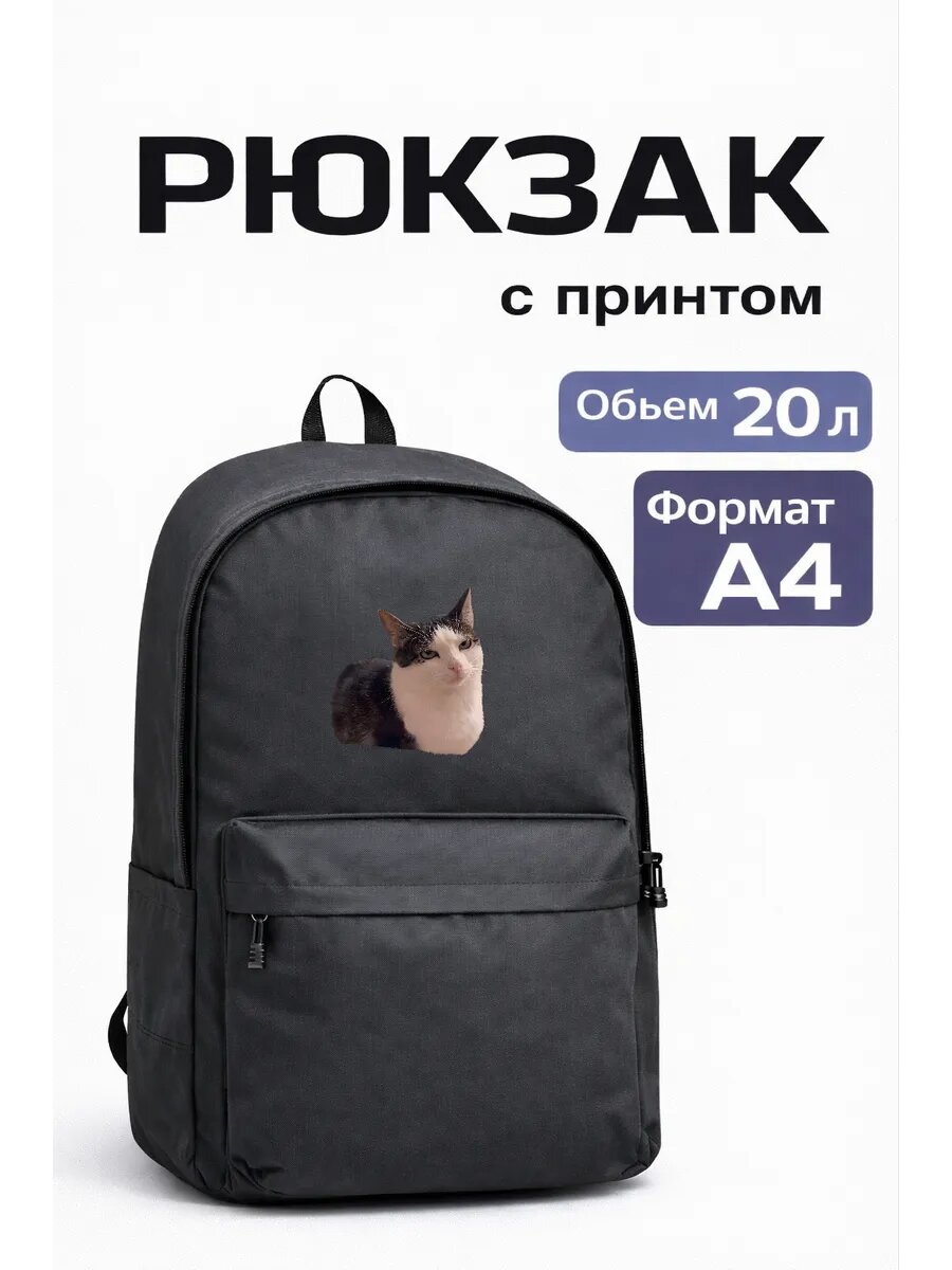 Рюкзак с принтом котик городской, повседневный, школьный, для парней и девушек