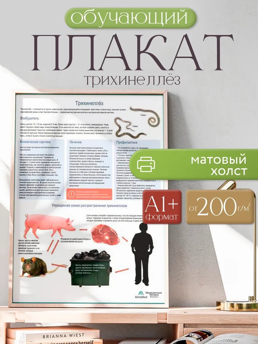 Трихинеллёз медицинский плакат А1+/A2+ (матовый холст от 200 г/кв. м, размер A1+)