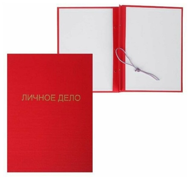 Папка "Личное дело", бумвинил, гребешки/сутаж, без бумаги, красная (вместимость до 300 листов)