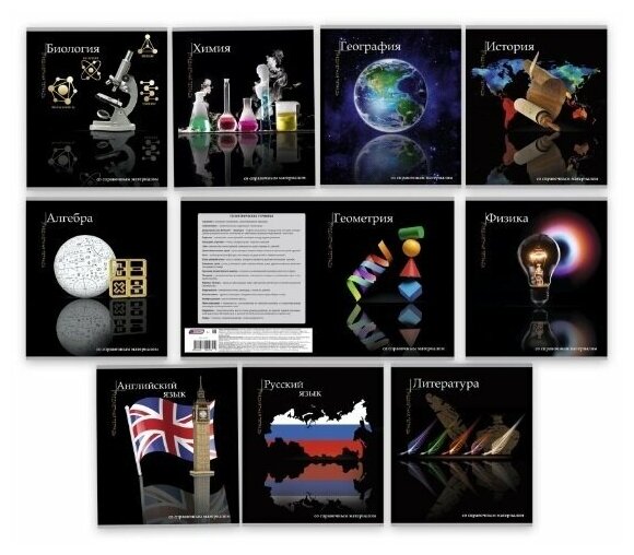 Комплект предметных тетрадей, со справочным материалом, клетка/линейка- 10шт, 48л