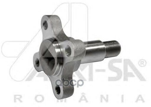 Ступица колеса задняя! Renault Duster 4x2 1.6/2.0/1.5dCi 09> ASAM-SA арт. 32035