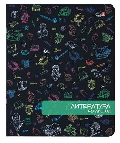 Альт Тетрадь предметная "Яркое настроение. Литература", А5, 48 листов, линия