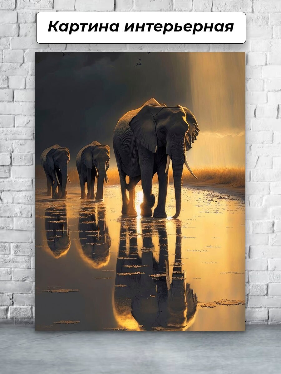 Картины для интерьера 50х70 Слоны Семья Слоненок