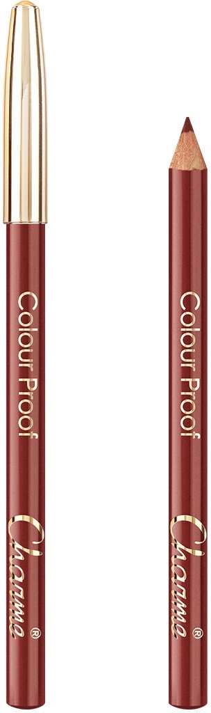 CHARME Карандаш для губ "Color Proof" 482 Ягодный джем