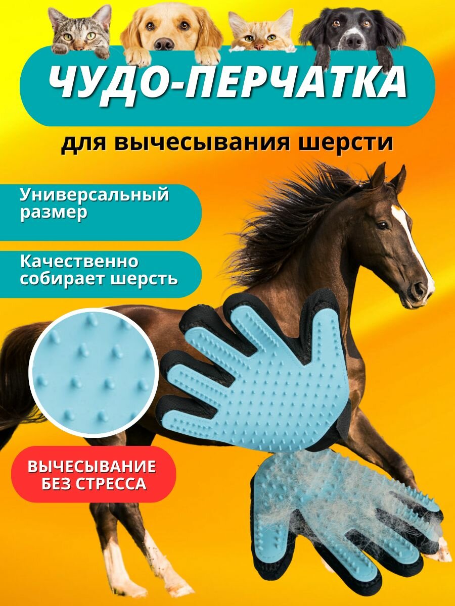 Sweethorse / Перчатка для вычесывания шерсти животных, голубой