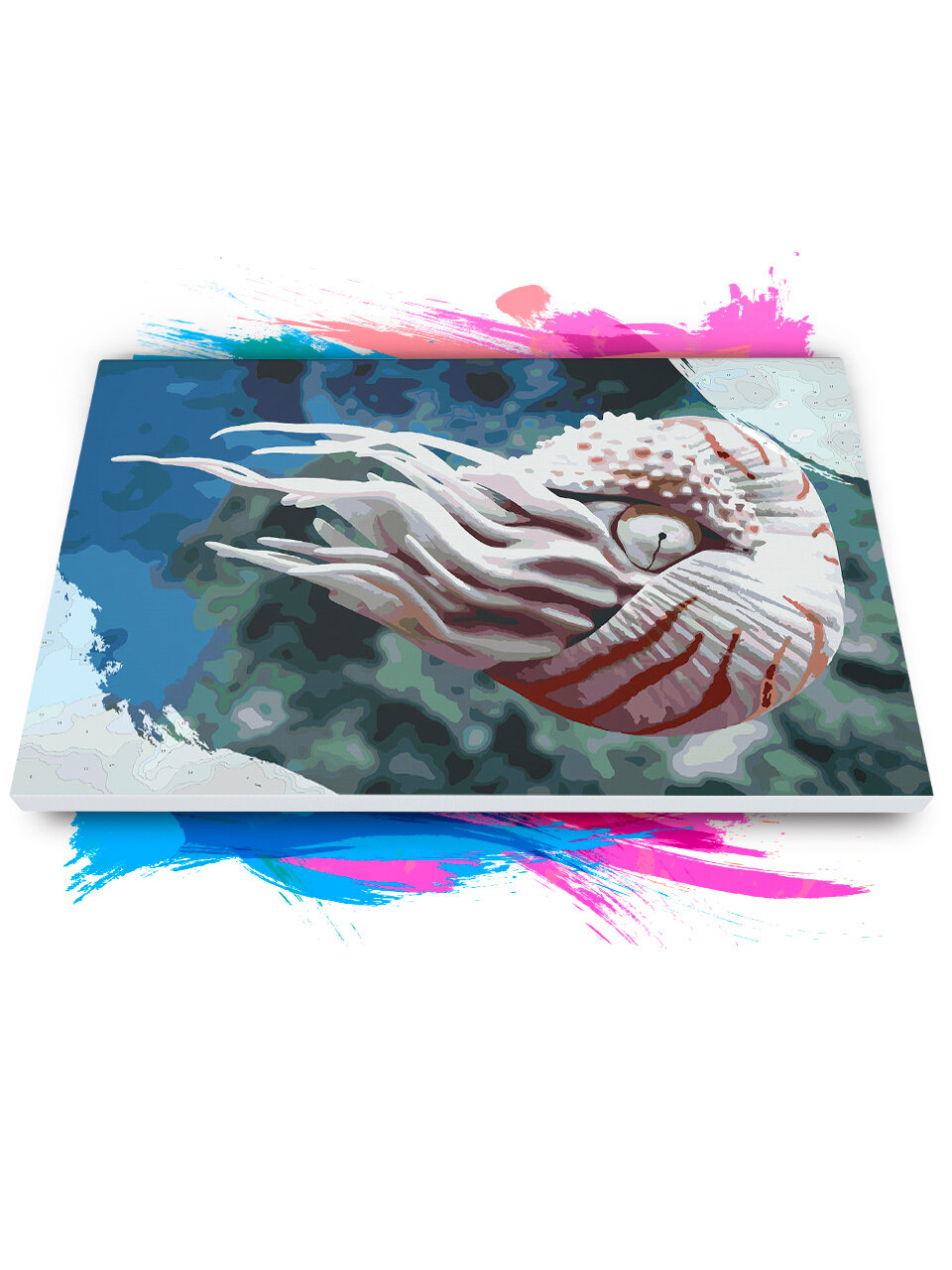 Картина по номерам на холсте Наутилус помпилиус моллюск, 100 х 150 см