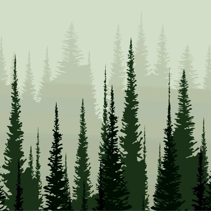 Витражная самоклеящаяся пленка для окон / стёкол /душевых кабин. Лес. 70х140 см.