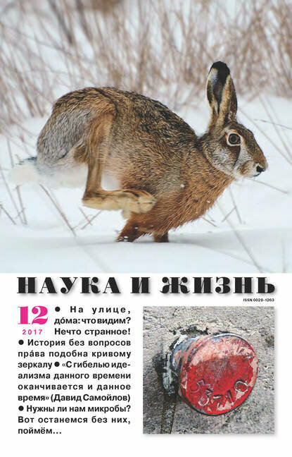 Наука и жизнь №12/2017 [Цифровая книга]