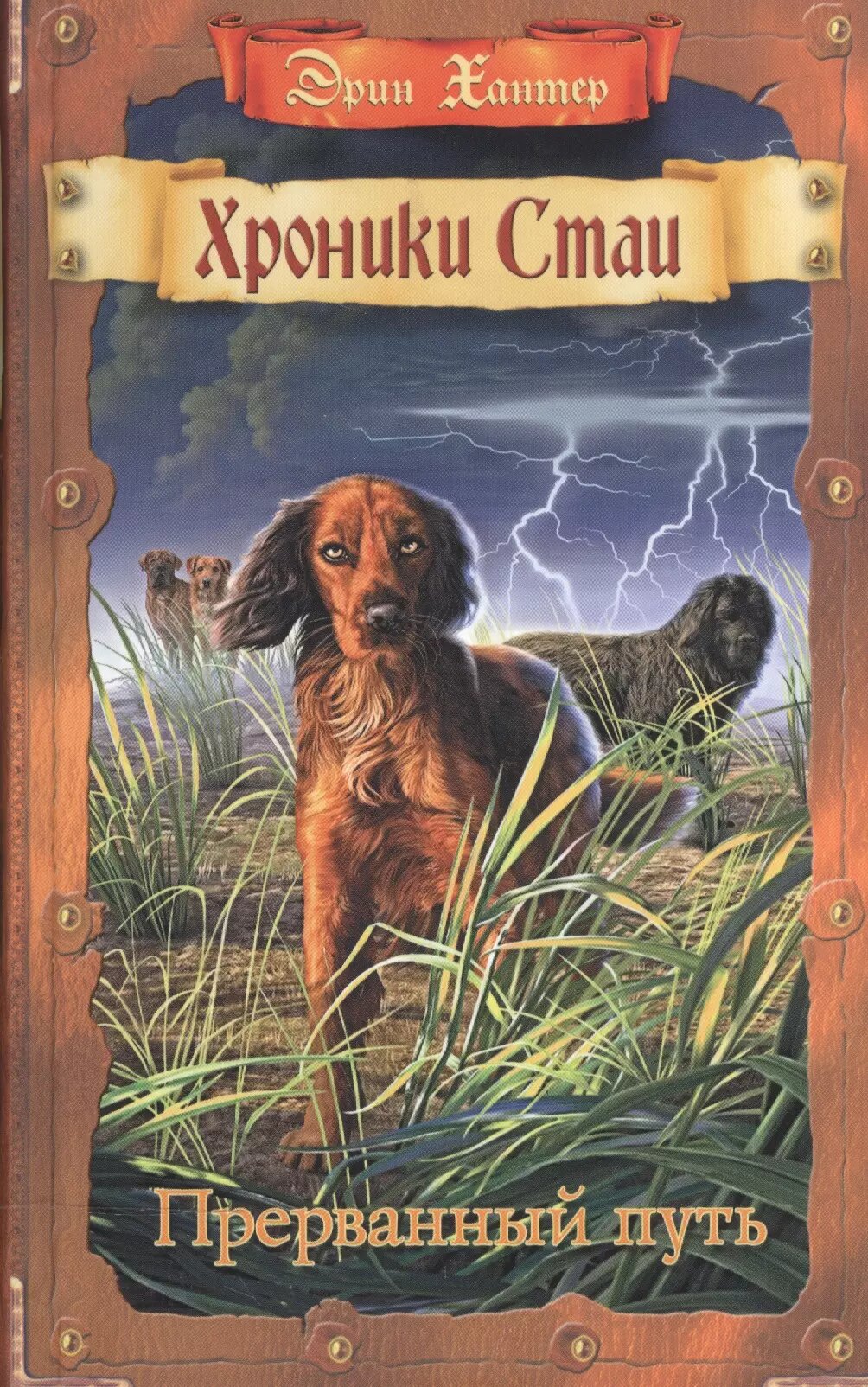 Прерванный путь