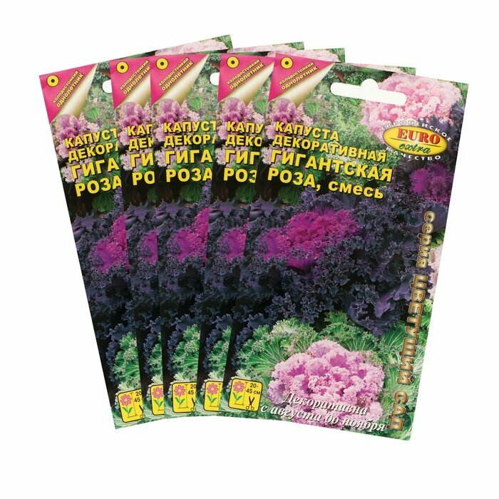 Семена цветов Капуста декоративная "Гигантская роза", смесь, набор 5 шт