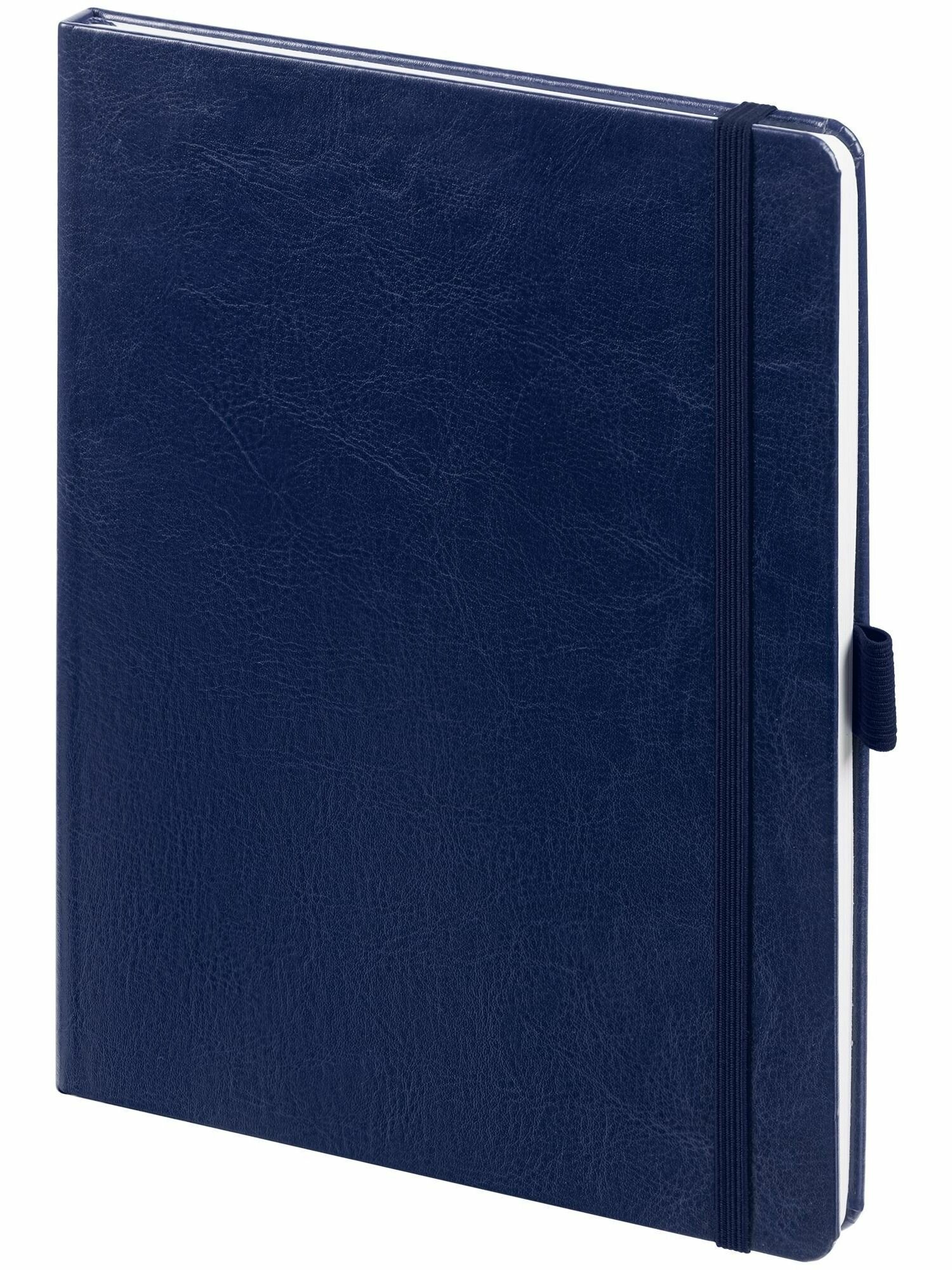 Еженедельник подарочный недатированный A5, учителя, планер, на резинке, Lucky, синий