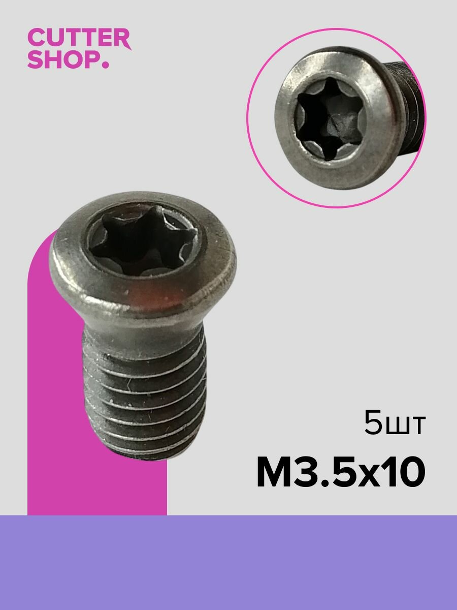 Винт M3.5x10 с внутренним шестигранником "звездочка" TORX, 5 шт.