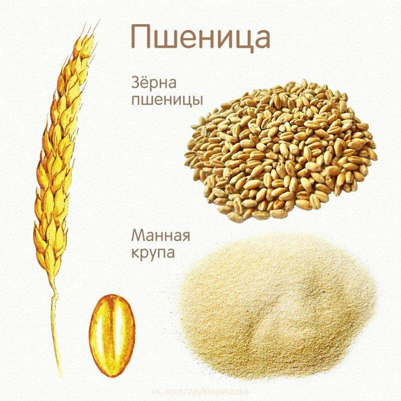 Корм для птиц 10 кг. 3в 1 Зерно Смесь пшеница, овес, ячмень,