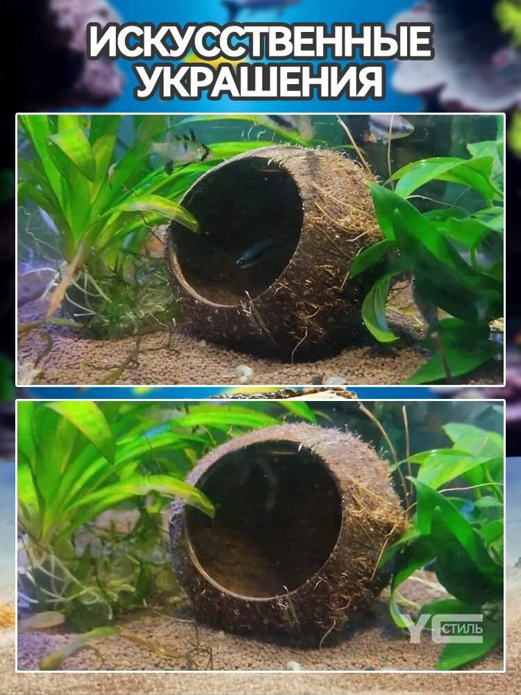 Декорация для аквариума/террариума