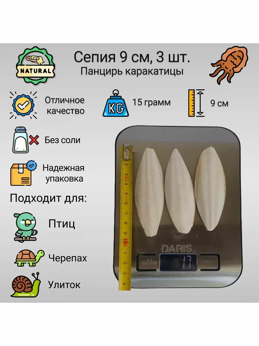 Палочки из зубов каракатицы, попугая, птицы, улитки, 9см, 3 упаковка