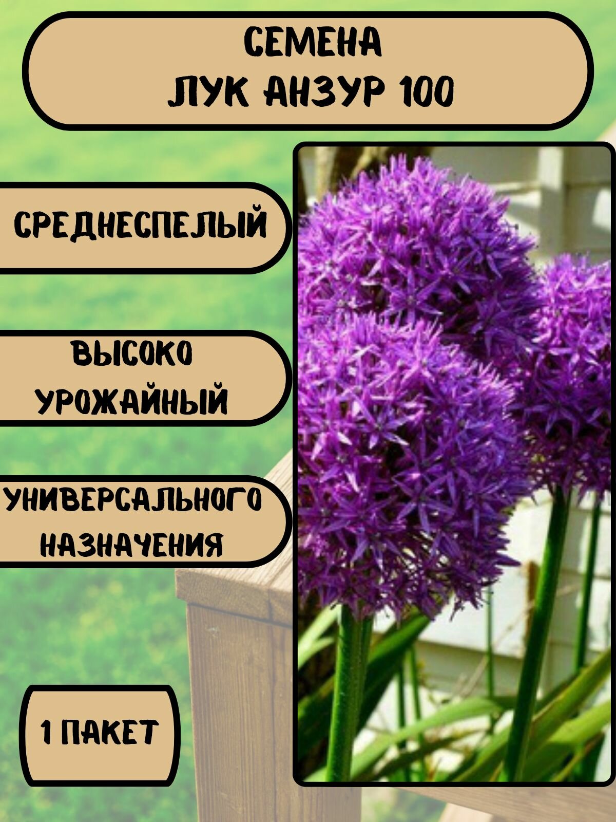 Лук Анзур 100, семена 10 шт